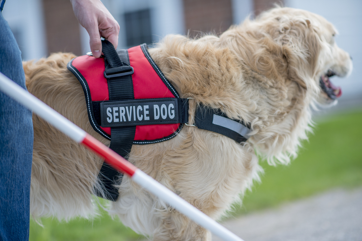 Assistance Animal Integrity Act | LP